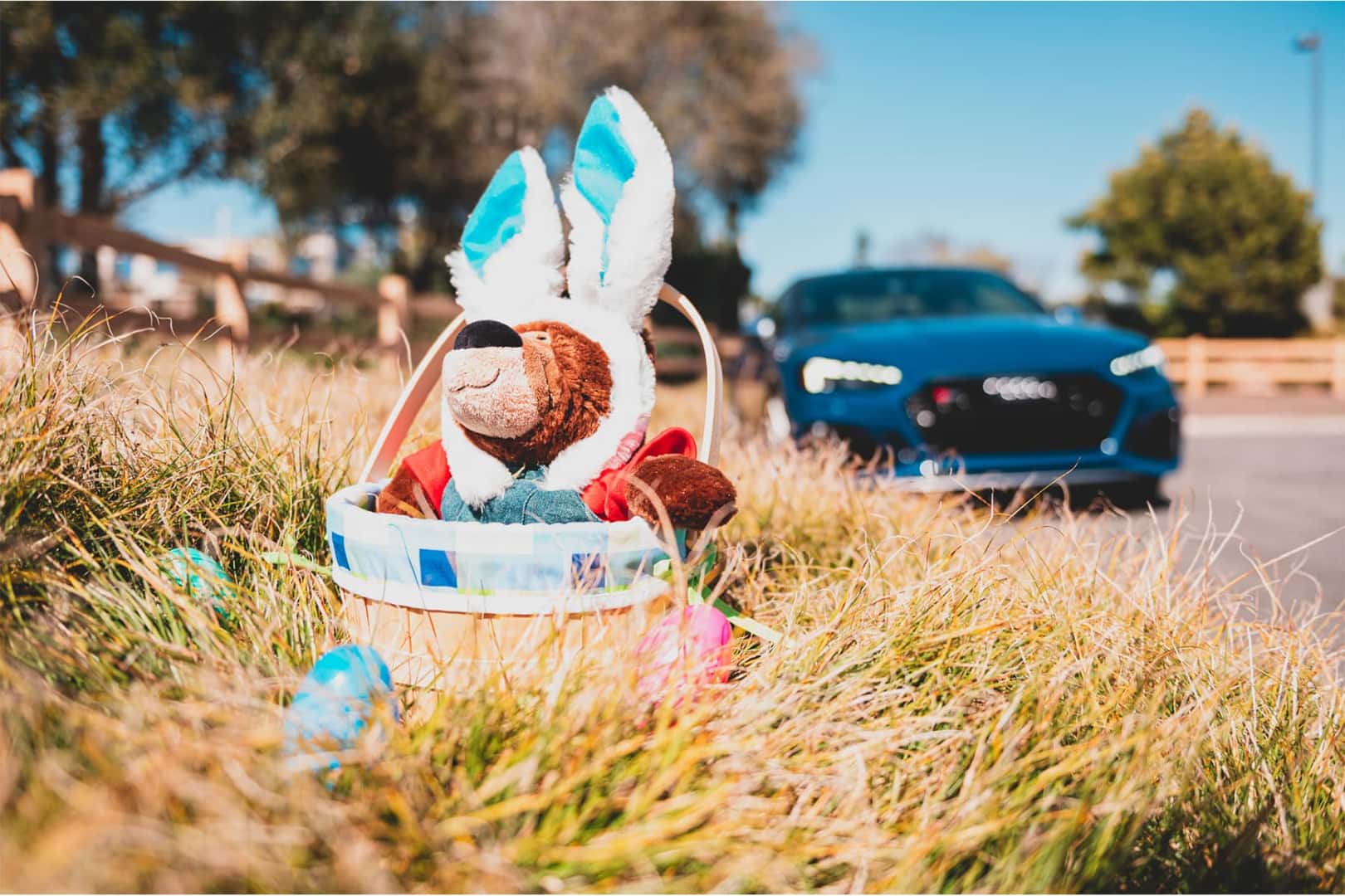Los Angeles Spring Events | Audi Beverly Hills Service