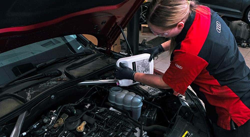 Audi Beverly Hills Service Staff | Los Angeles Service Center