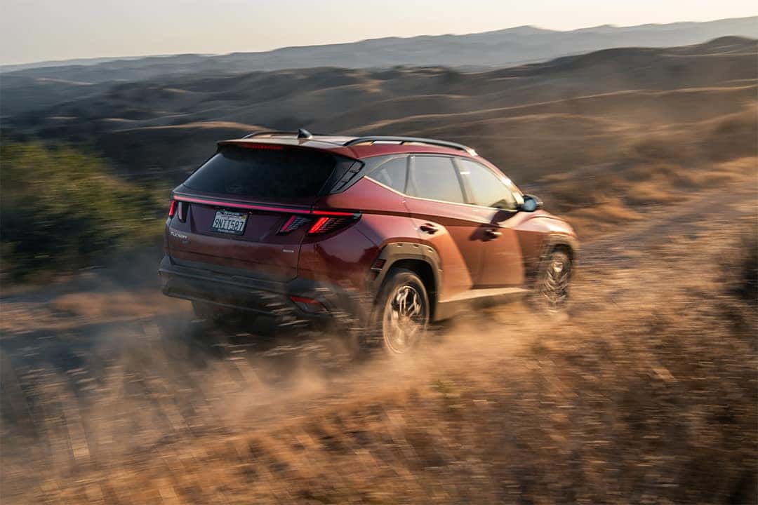 2025 Hyundai TUCSON for Sale at Patrick Hyundai