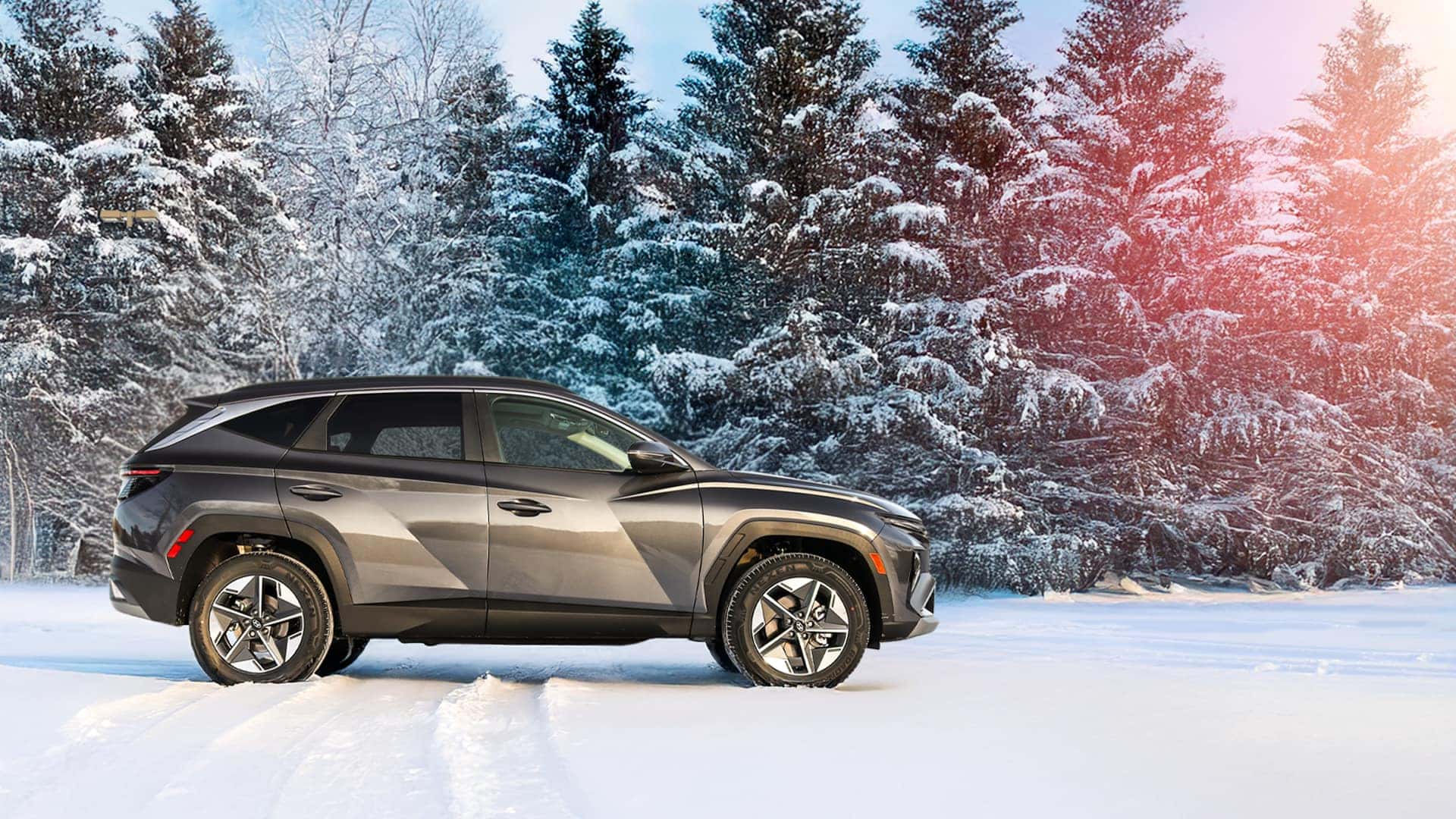 2025 Hyundai TUCSON Hybrid for Sale in Schaumburg, IL | Patrick Hyundai