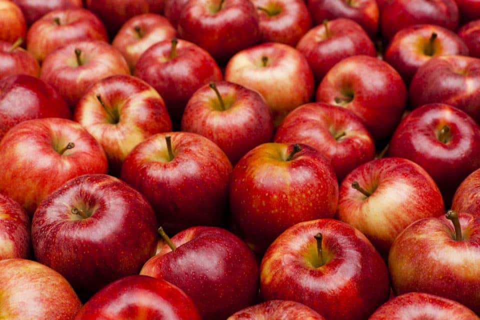This Autumn Take A Weekend For Apple Picking Safford Hyundai Of this-autumn-take-a-weekend-for-apple-picking-safford-hyundai-of