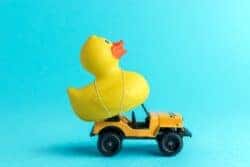 Why Do Jeeps Have Ducks - Jeep Ducking Explained